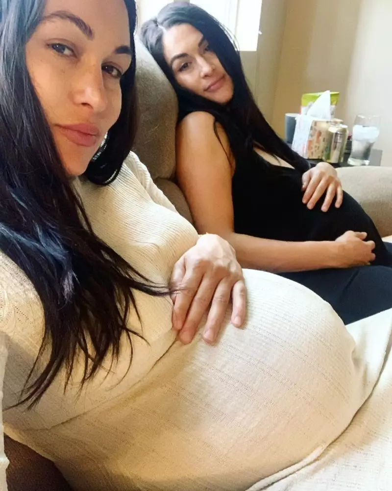 Nikki en Brie Bella Wa't de termyn is earst