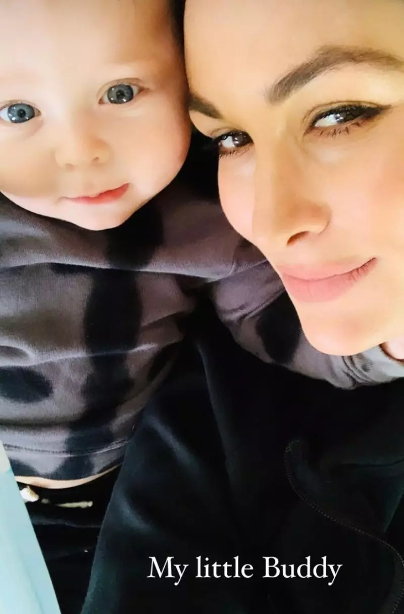 brie-bella-buddy-twins-selfies