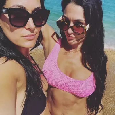 Nikki Bella 穿著粉色泳裝和 Brie Bella 穿著黑色比基尼自拍比基尼