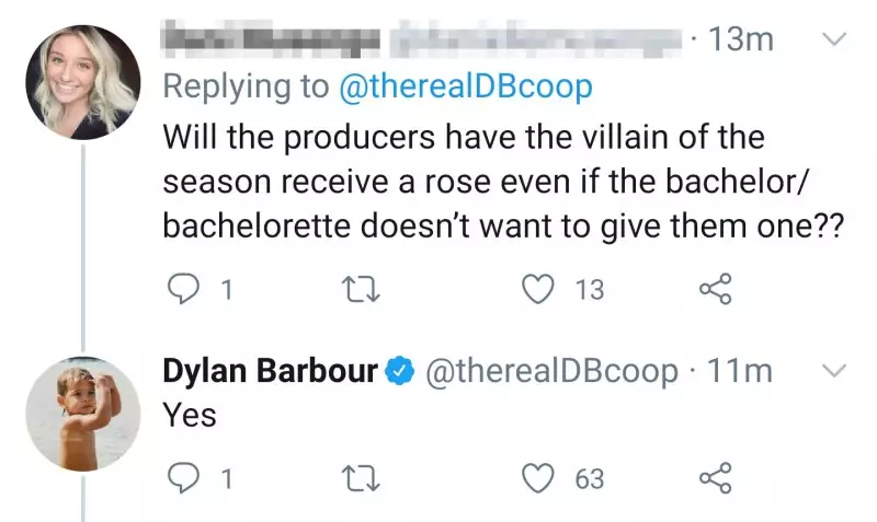 Dylan Barbour elmondja az összes tweetjét a Bachelorról