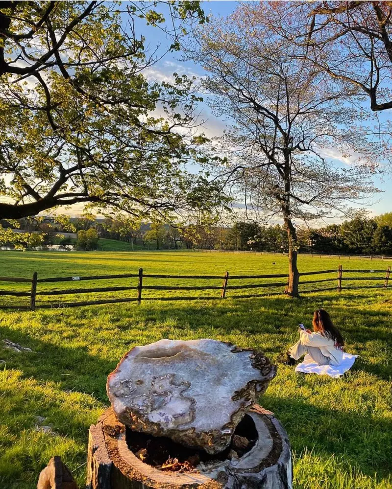 Bella Hadid Gigi Hadid Ranch