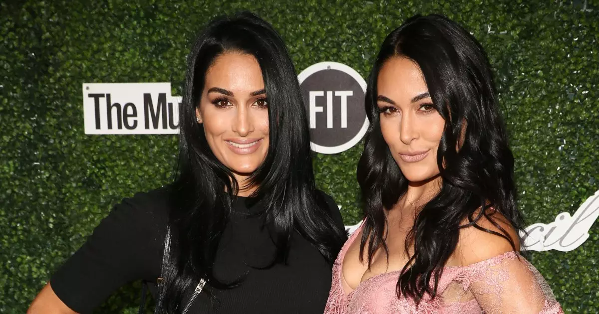 Nikki Bella og Brie Bella venter: Bella-tvillinger er gravide