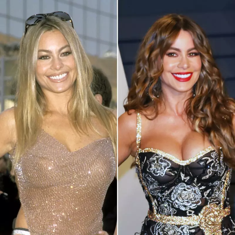 តារាល្បី Sofia Vergara