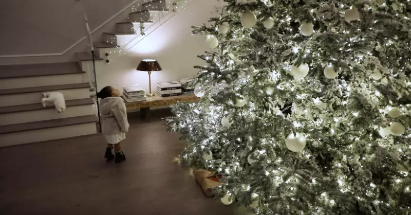 Tour della casa di Natale di Stormi Webster