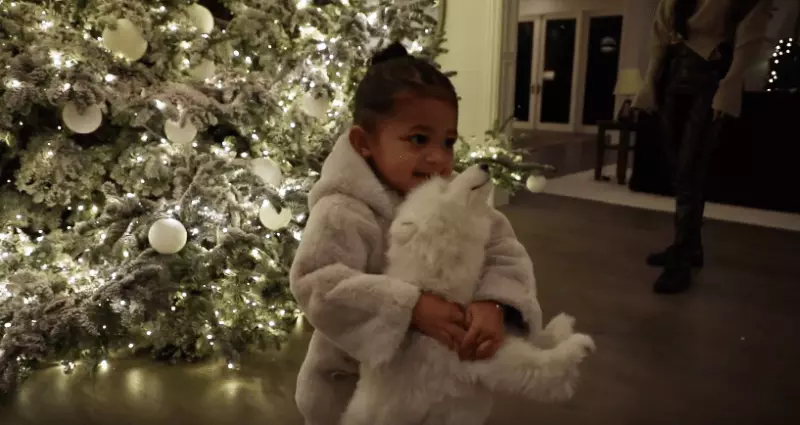 Stormi Webster Hirçê Polar digire