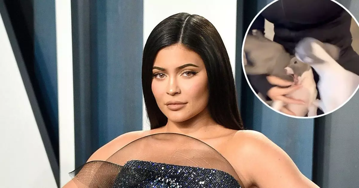 Kylie Jenneri beebijärgne keha: peen vöökoht, lame kõht