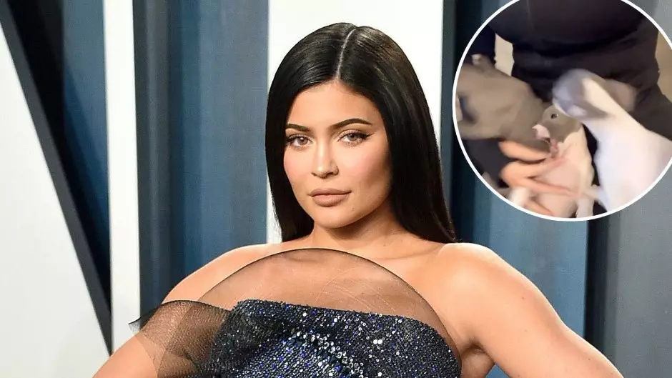 Kylie Jenner visar upp supersmal midja och platt mage 6 veckor efter att ha fött bebisen varg