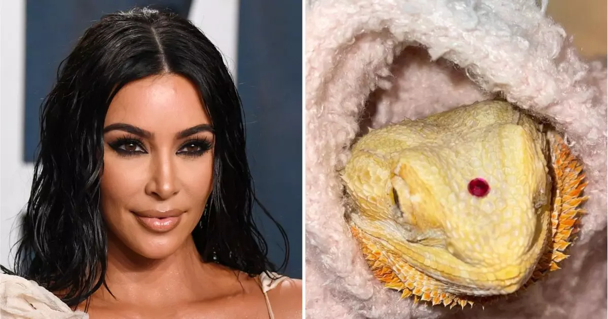 Kim Kardashian gagnrýndi fyrir að klæða gæludýr skriðdýr í föt