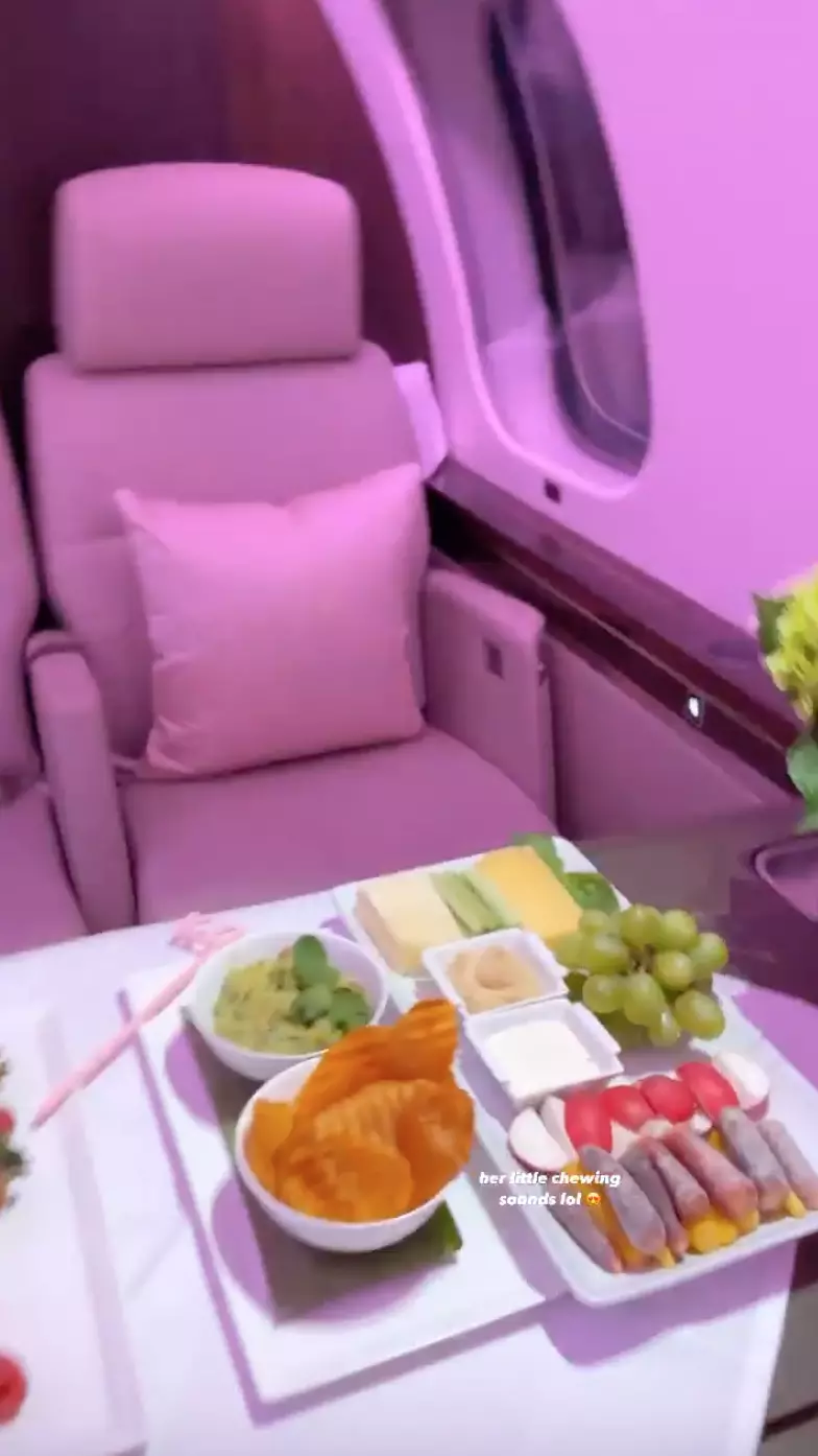 大亨状态！看看凯莉詹纳价值数百万美元的粉色凯莉化妆品飞机内部