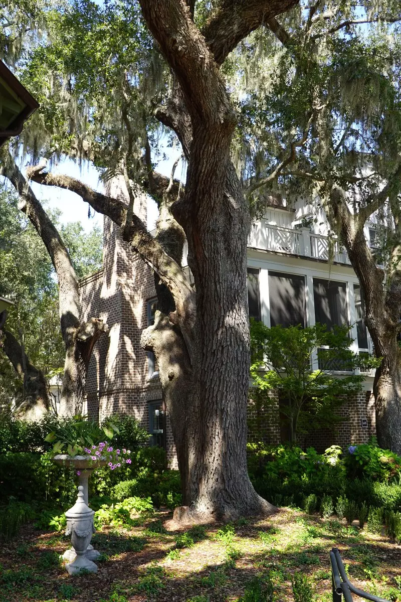 Tempat perkahwinan Justin Bieber dan Hailey Baldwin di Palmetto Bluff