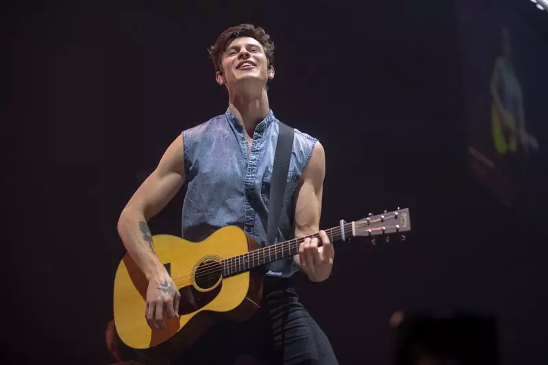 Shawn Mendes biceps