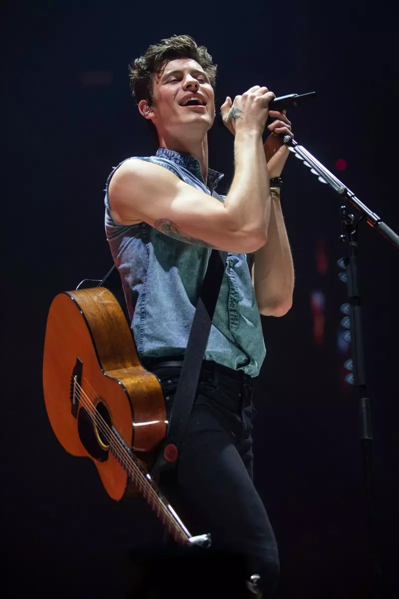 Shawn Mendes biceps