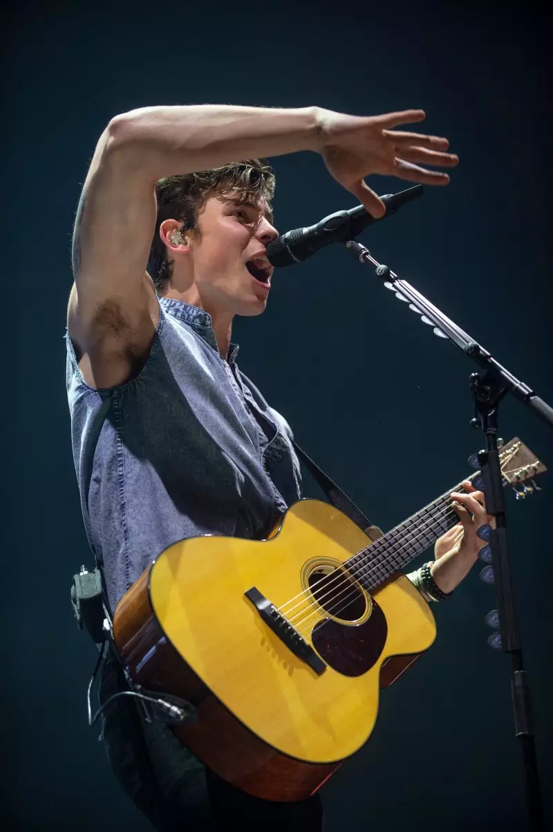 Shawn Mendes biceps 6