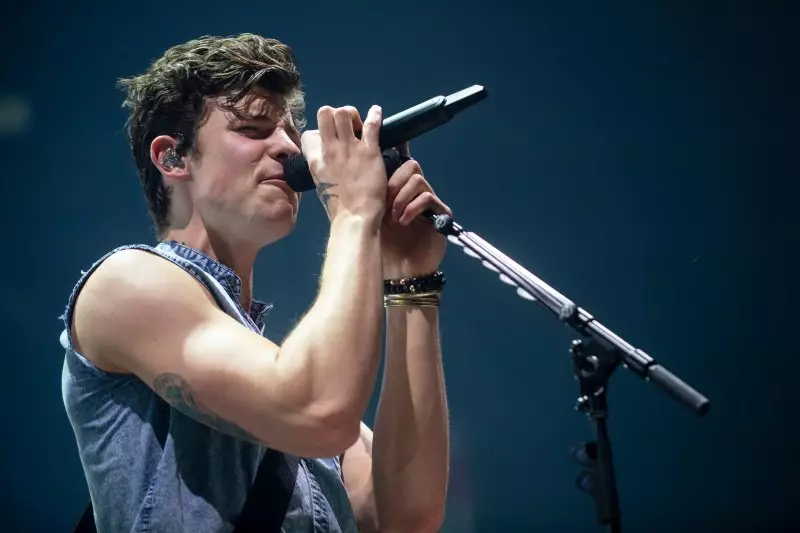 Shawn Mendes biceps 7