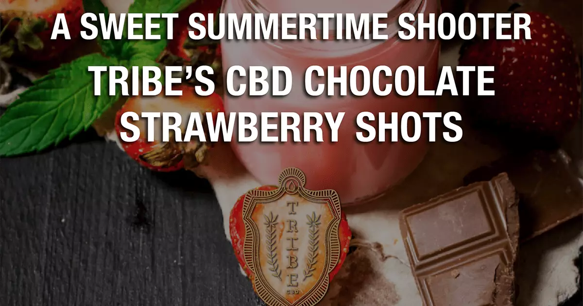 A Sweet Summertime Shooter: Tribe’s CBD Chocolate Strawberry Shots