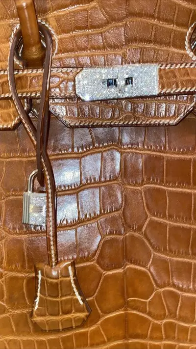 Sac Hermès Birkin Crocodile Kylie Jenner