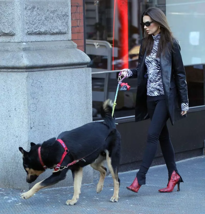 Emily Ratajkowski र उनको कुकुर NYC मा हिड्न जान्छ