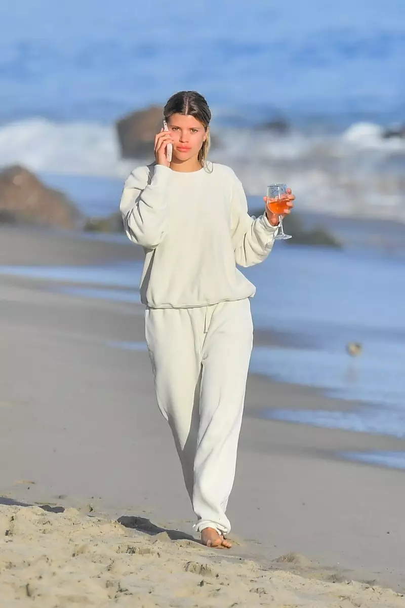 sofia-richie-scott-disick-malibu-beach-hershula-karantene