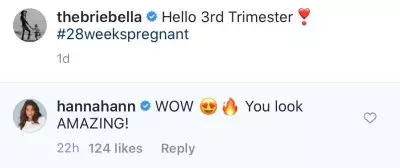 Hannah Ann Sluss lizentziatua Brie Bella ia biluzik haurdunaldiko argazkia iruzkintzen du Instagrameko iruzkinean