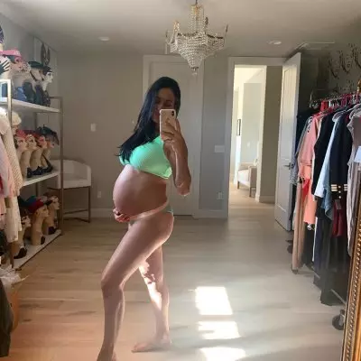 Fotos da barriga de bebê Nikki Bella Brie Bella