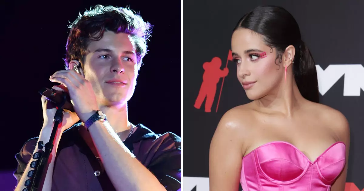 Shawn Mendes Atania Wimbo Mpya Baada ya Camila Cabello Kuachana