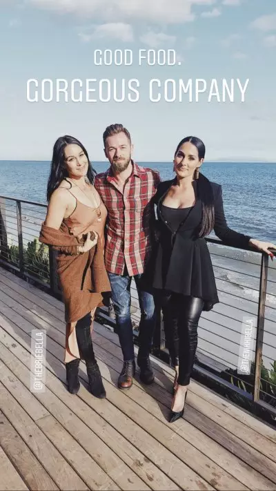 nikki bella artem chigvintsev brie bella