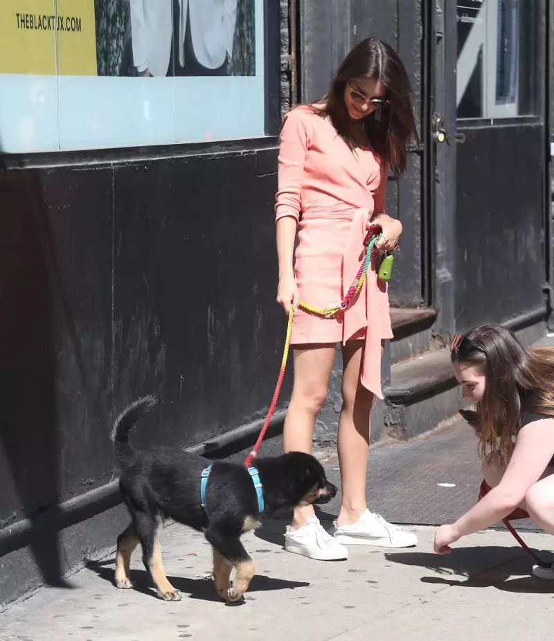 emily ratajkowski pink imbwa nyc