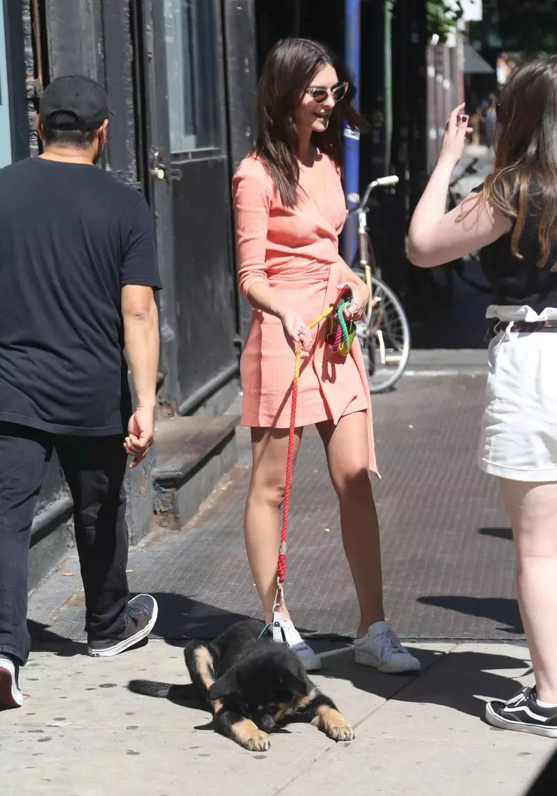 emily ratajkowski màu hồng chó nyc