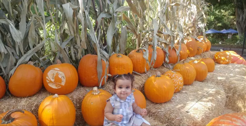 Soñar en un huerto de calabazas