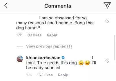 Khloé Kardashian Tej zaum Yuav Muab Qhov Tseeb Thomson rau dev