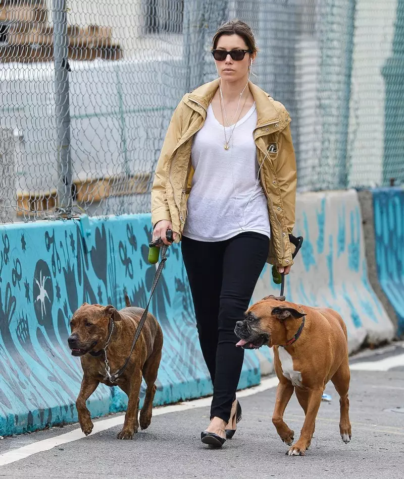 Jessica Biel Ibu anjing selebriti terbaik