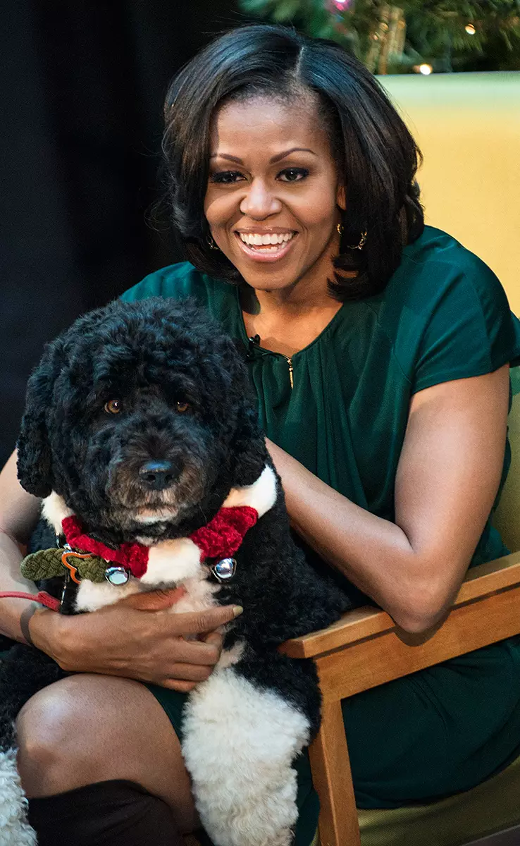 Michelle Obama Ibu anjing selebriti terbaik