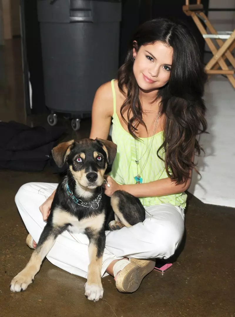 Selena Gomez Ibu anjing selebriti terbaik