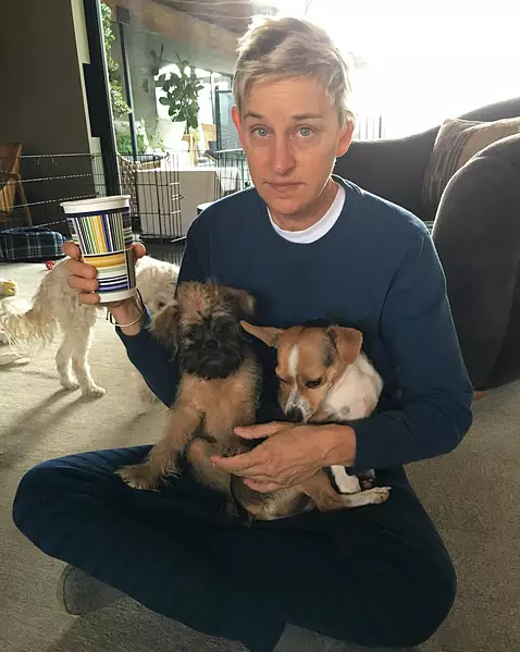 Ellen DeGeneres Những bà mẹ chó nổi tiếng nhất