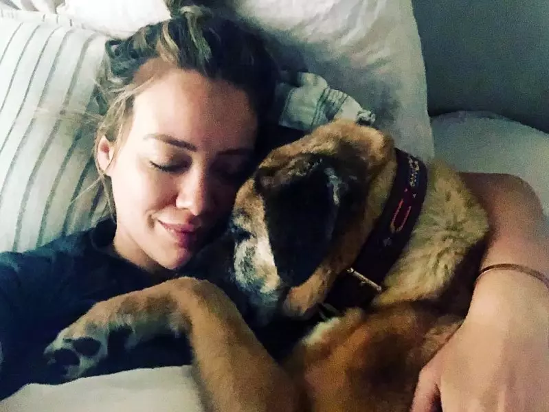 Hilary Duff Ibu anjing selebriti terbaik