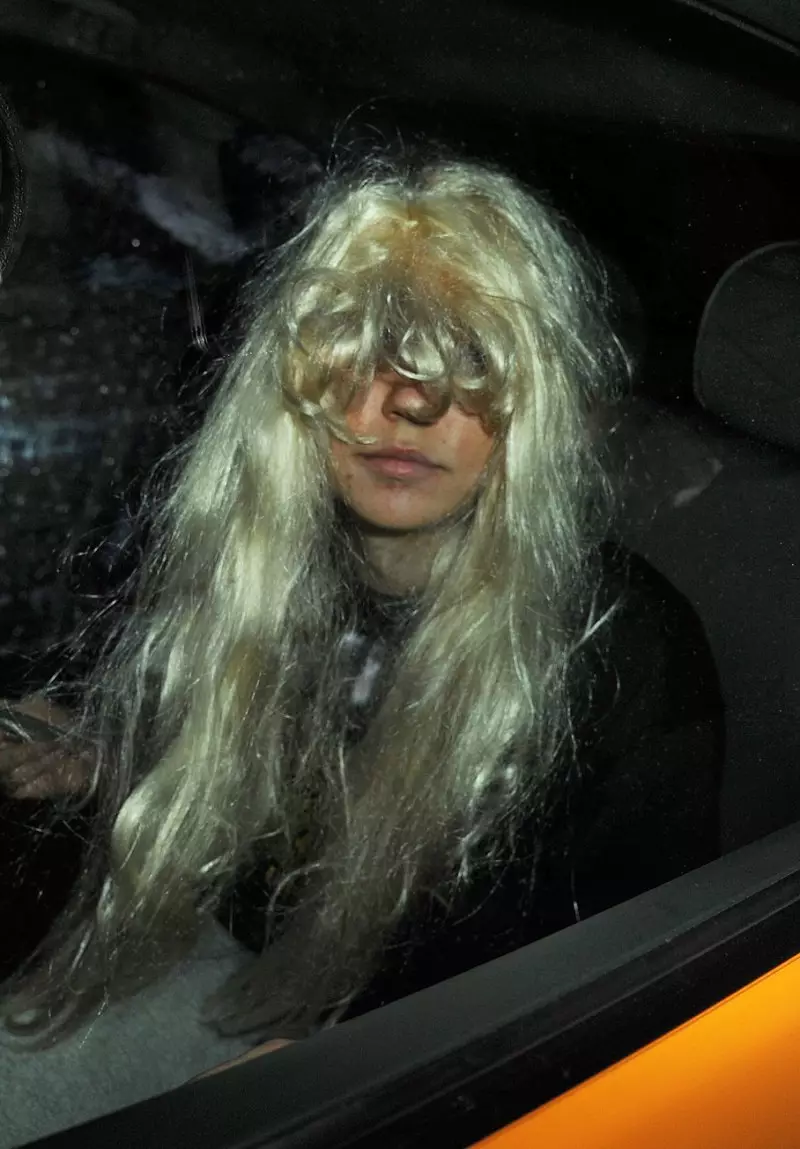 Amanda bynes 2013 2 ปี