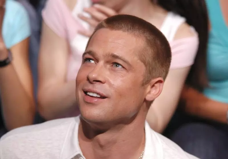 Brad pitt 2004