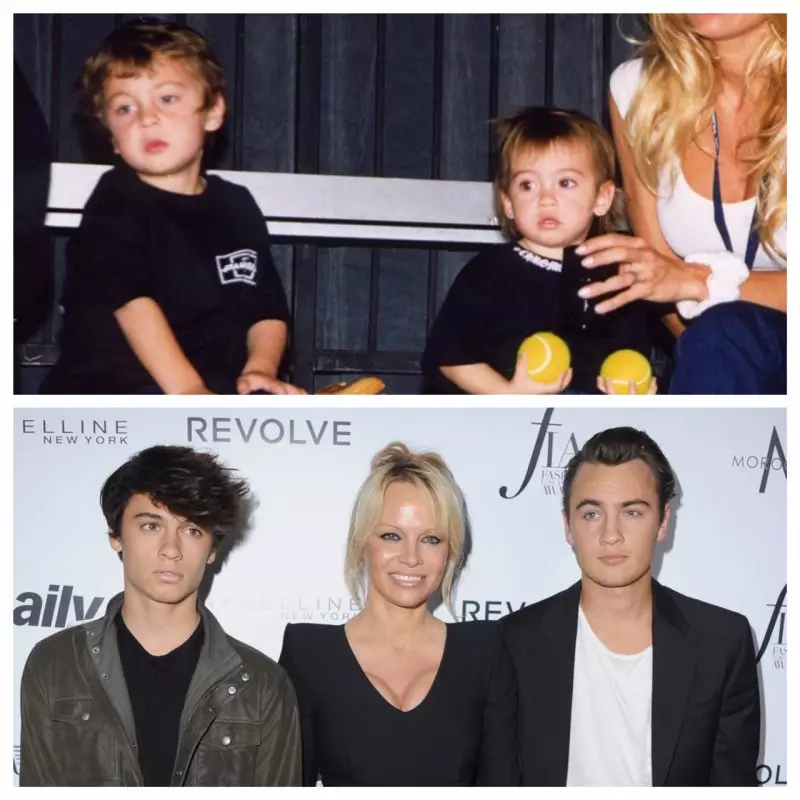 pamela anderson hijos dylan brandon