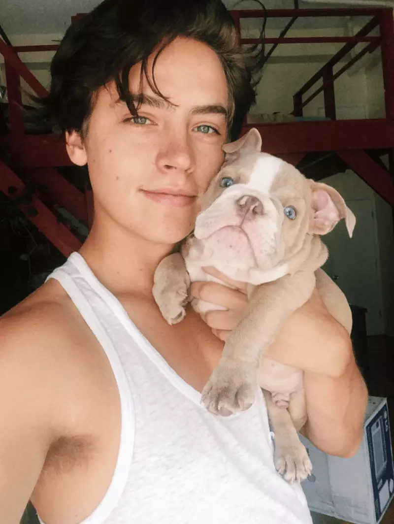 Cole sprouse magnus txakurkumea