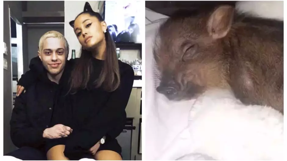 Ariana grande pete davidson pig tattoo