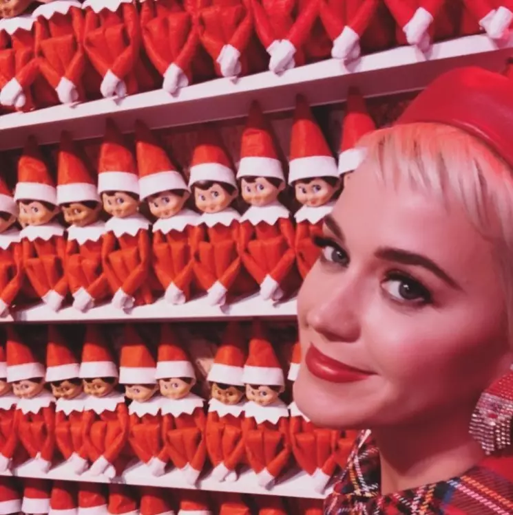 Katy Perri Selfi, Tekstdäki Elf