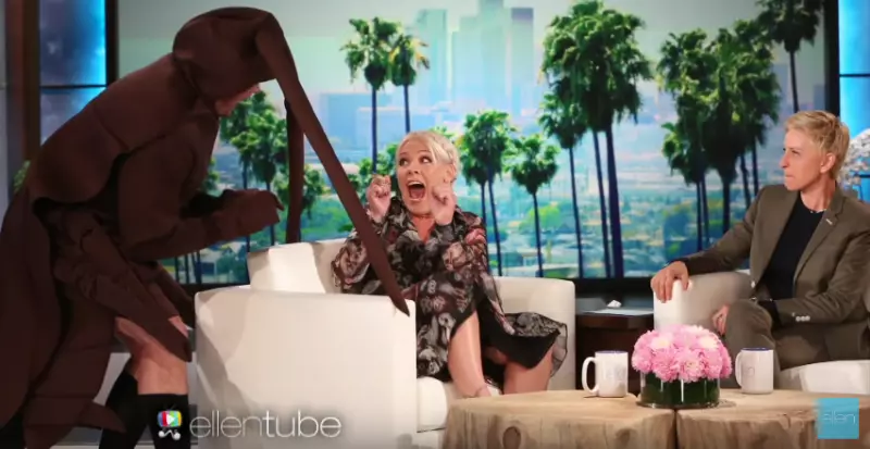 Pink ha paura di Ellen