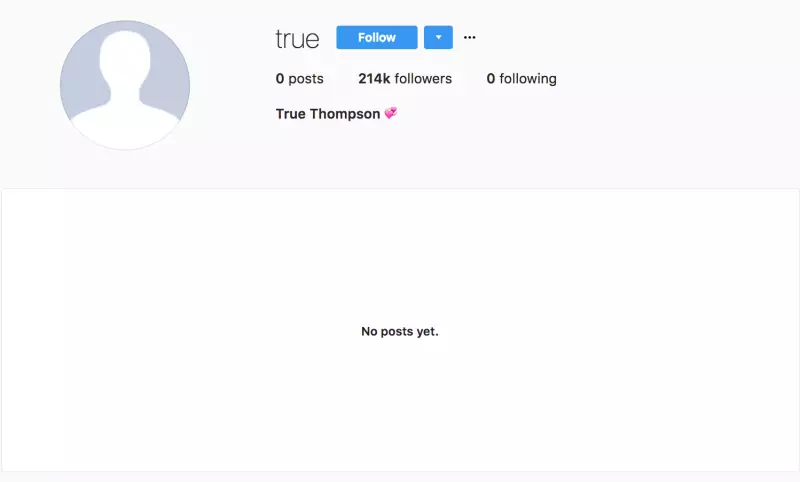 True thompson instagram