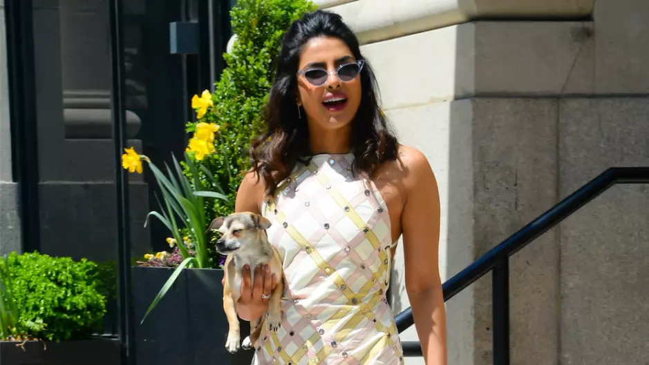 Priyanka-Chopra-NYC-Hond-Diana