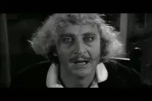 Young frankenstein 5