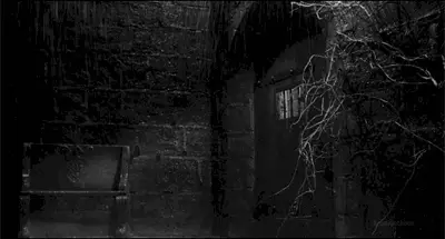 Young frankenstein gif 3