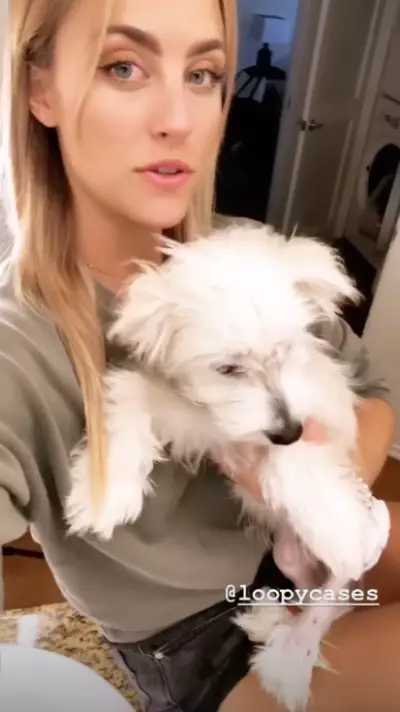 Kendall li kûçikê xwe temaşe dike
