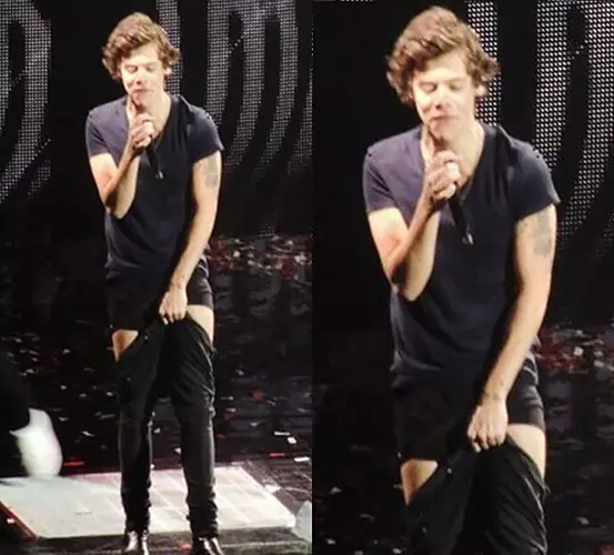 Harry styles wardrobe malfunction