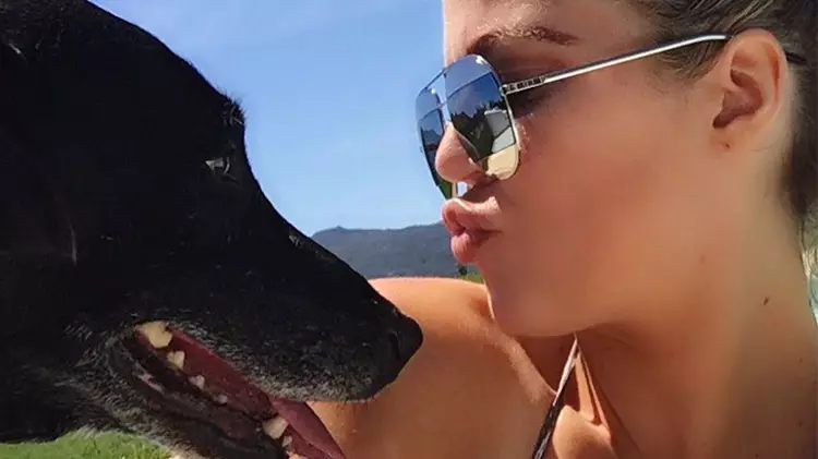 Khloe kardashian gabbana dog