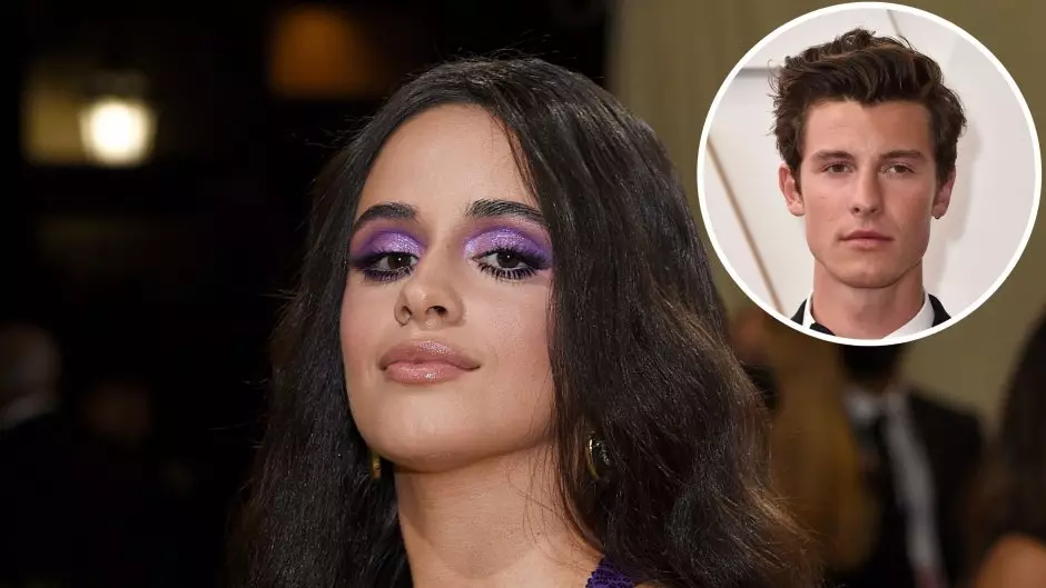 Kufungisisa! Camila Cabello's Lyrics About Shawn Mendes paNew Album 'Mhuri'